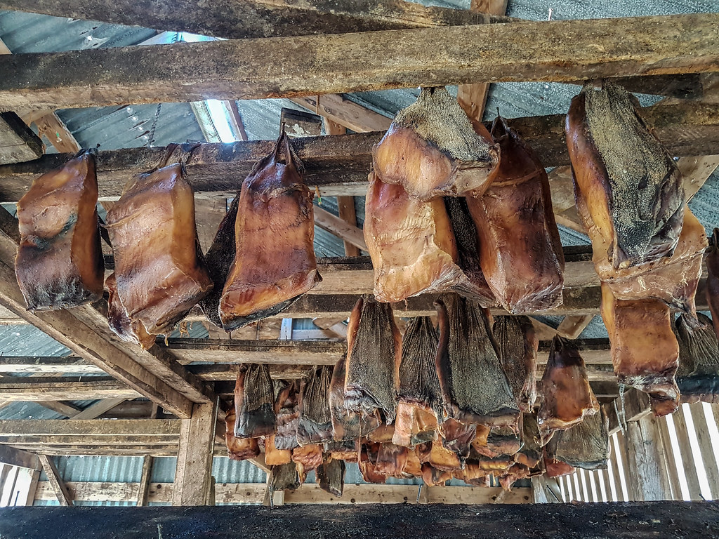Hakarl: An Icelandic Recipe For Shark Meat