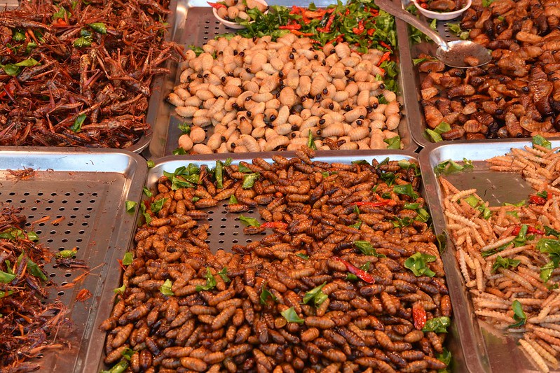 Common Food Products That Secretly Contain Bugs