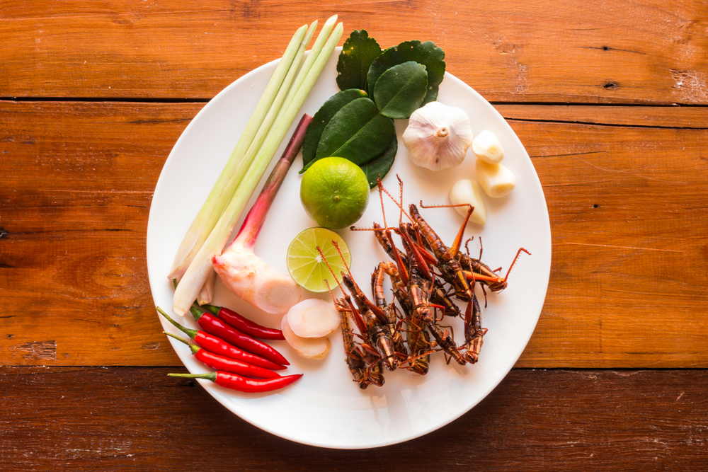 Common Food Products That Secretly Contain Bugs