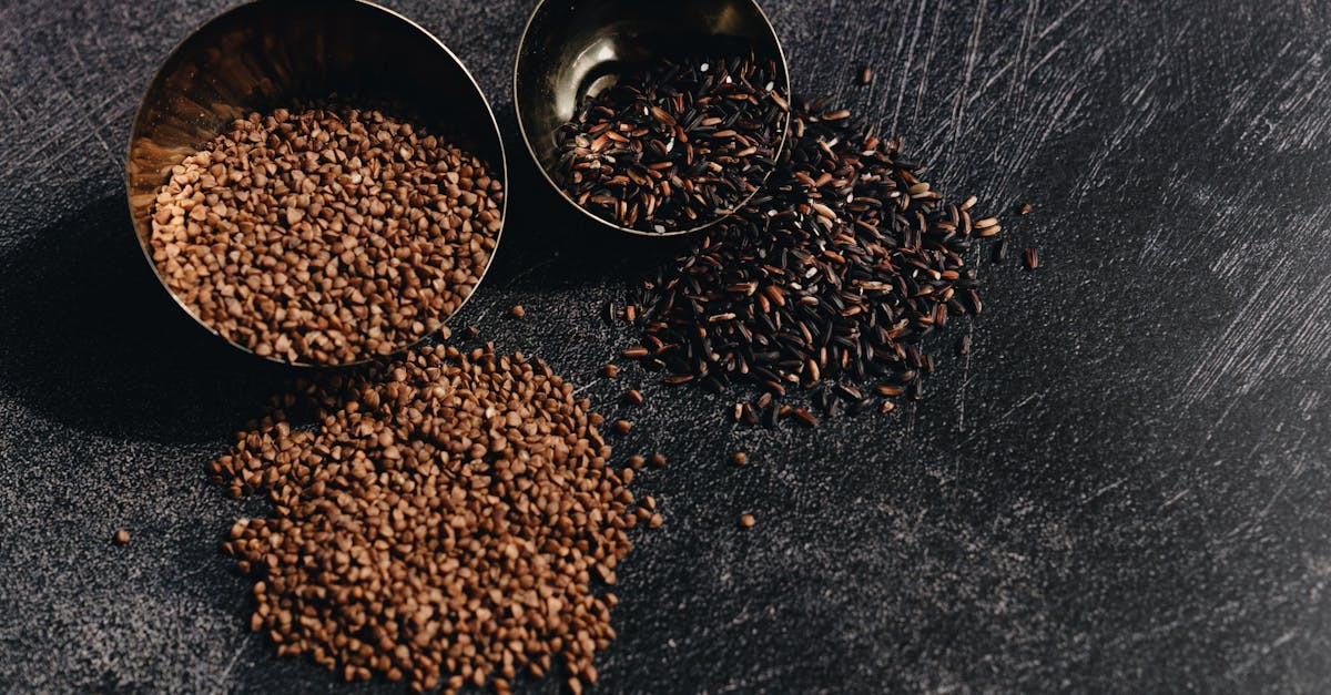 Ancient Grains: What Are They And Why Do They Matter?